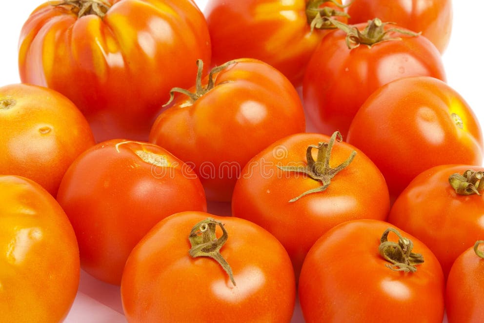 A number of tomatoes. stock photo. Image of healthy, clean - 10733454