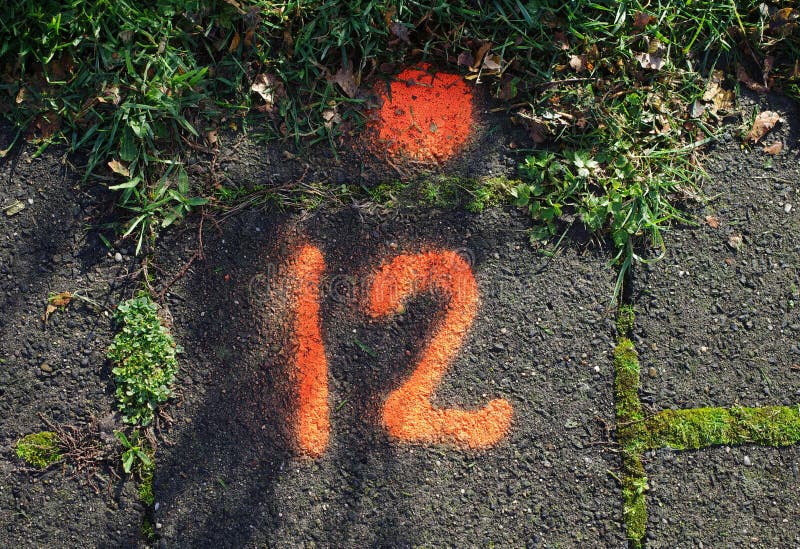 Orange 12 stock image. Image of design, surface, environment - 263454815