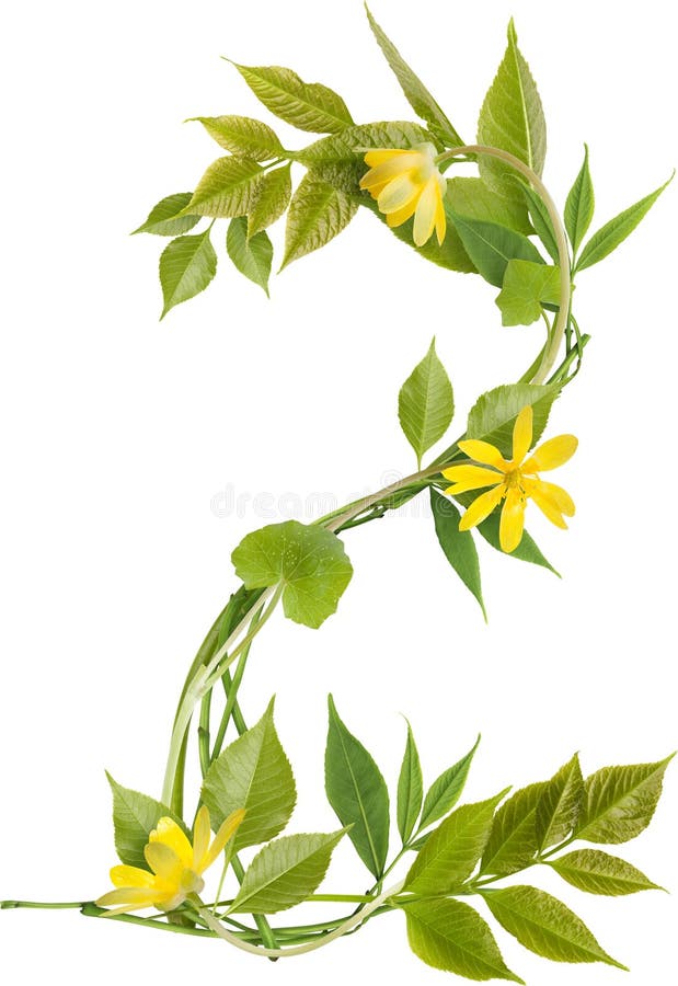 Number Two from Branches with Leaves and Flowers Stock Image - Image of ...
