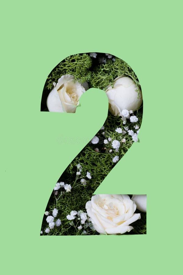 Number 2 Two Cut Out of Paper with Flowers and Moss Inside Stock Photo ...