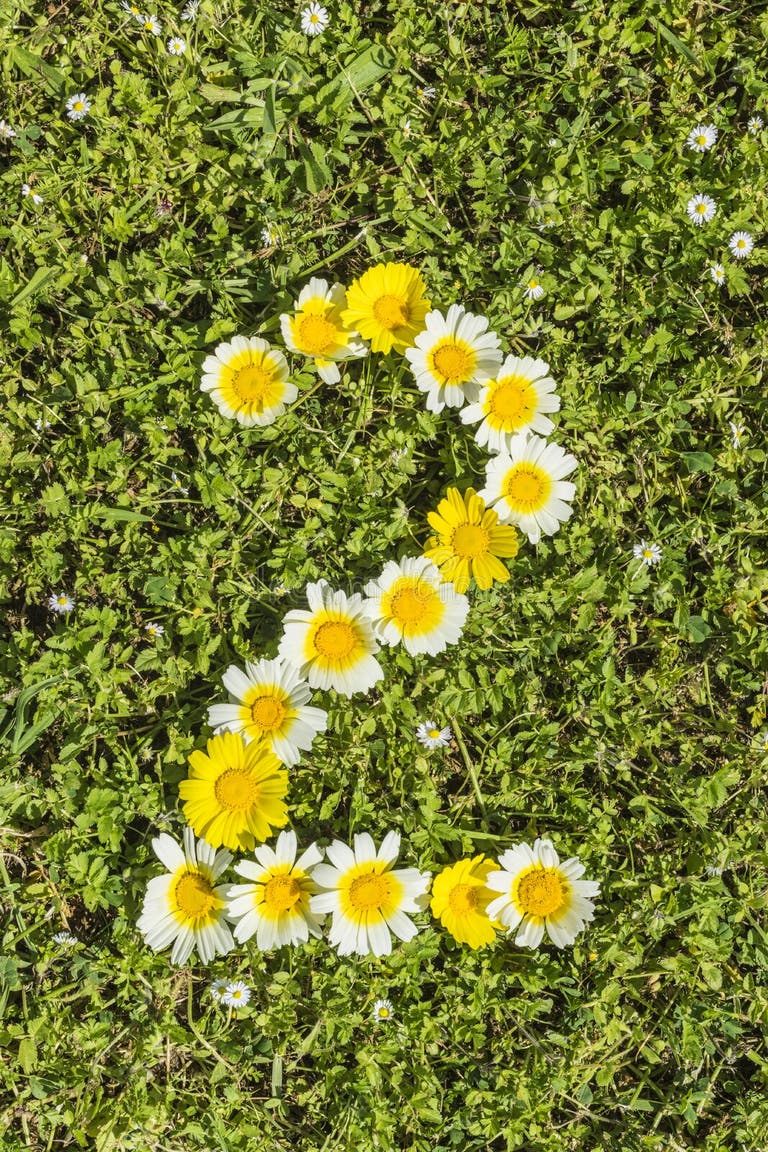 216 Numbers 1 To 10 Stock Photos - Free & Royalty-Free Stock Photos ...