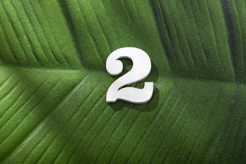 Number 2 Two Over Forest Tropical Leaf Stock Photo - Image of dark ...