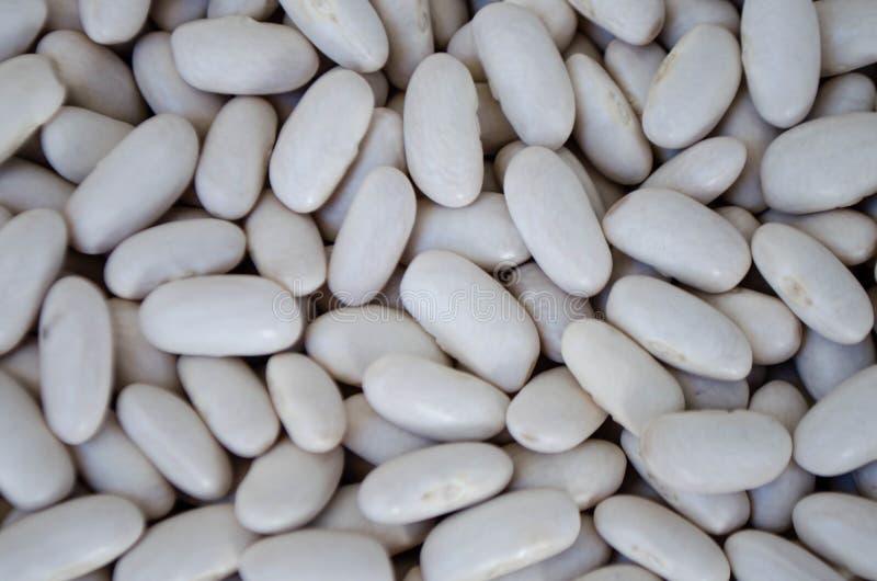 Number of White Small and Long Beans Under the Light - Perfect for ...