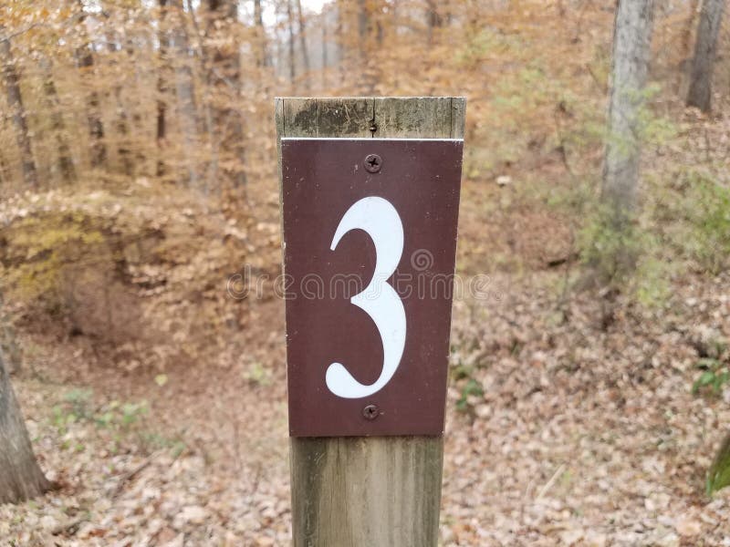 The Number 2 on Wood Post in the Forest or Woods Stock Image - Image of ...