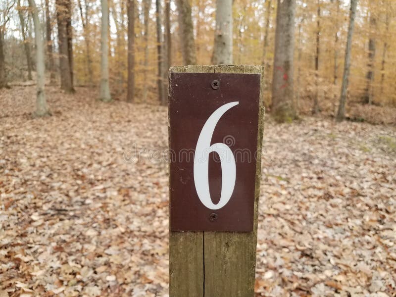 The Number 2 on Wood Post in the Forest or Woods Stock Image - Image of ...