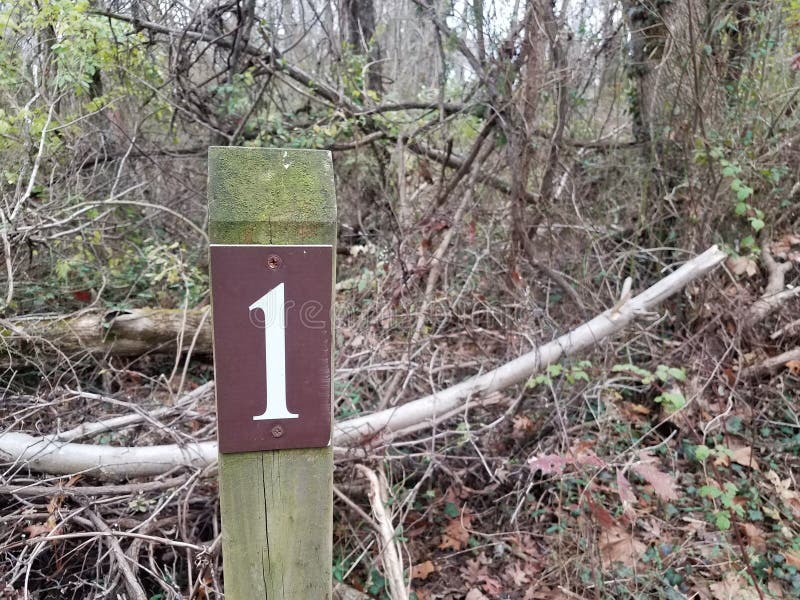 The Number 1 on Wood Post in Forest or Woods Stock Image - Image of ...