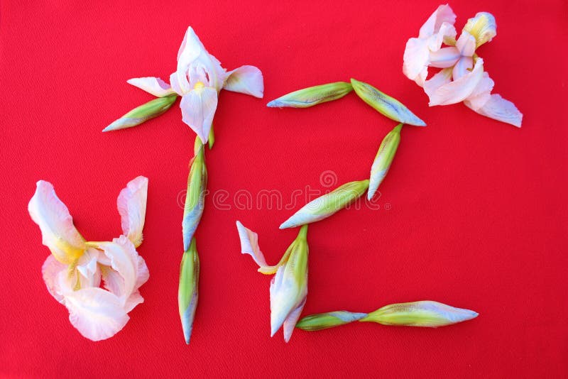 Number 12 Written by Fresh Iris Flowers on a Red Background. Number ...