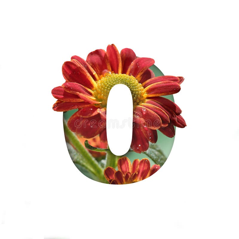 644 Zero Number Flowers Stock Photos - Free & Royalty-Free Stock Photos ...
