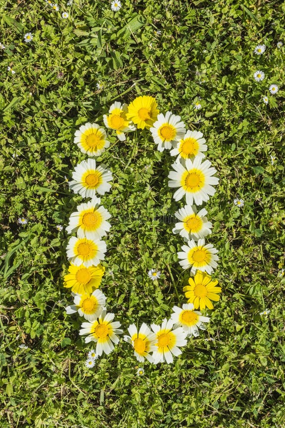 Number Zero from Flower Numbers Stock Photo - Image of creative ...