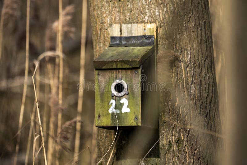 A Numbered Nesting Box in a Nature Reserve in Suffolk Stock Image ...