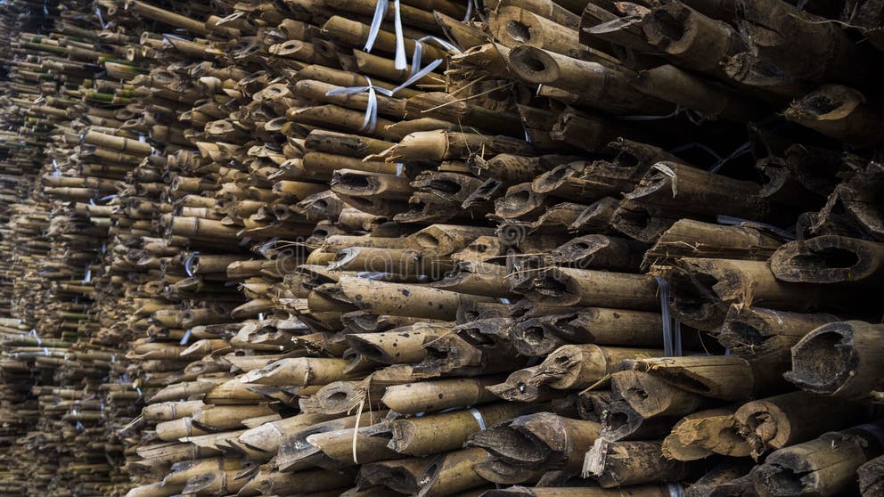 Close Up of Bamboo with a Special Pattern Stock Photo - Image of bamboo ...