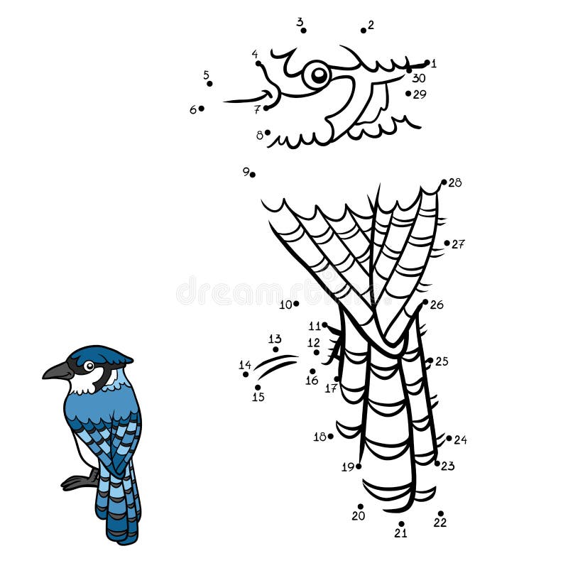 Numbers game, Blue jay stock vector. Illustration of kindergarten ...
