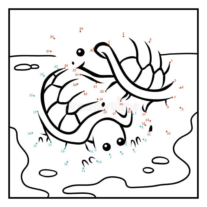 Numbers Game Children Turtle Stock Illustrations – 83 Numbers Game ...