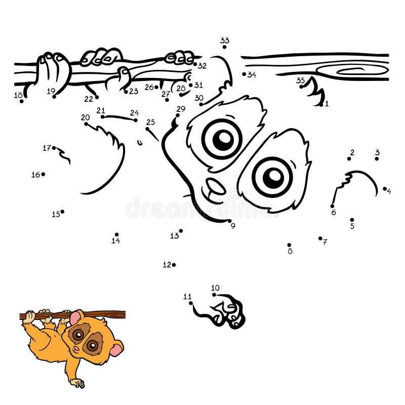 Slow Loris Stock Illustrations – 600 Slow Loris Stock Illustrations ...