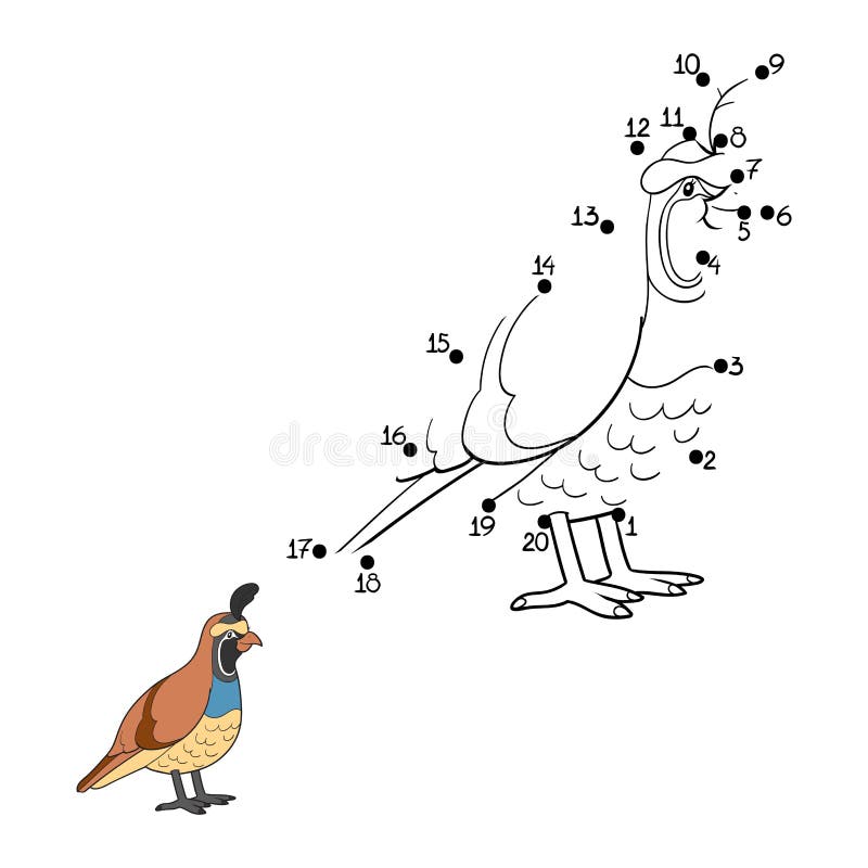 Numbers game (quail, bird) stock vector. Illustration of chicken - 52515549