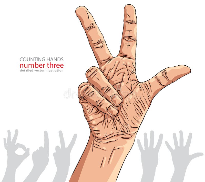 Numbers Hand Signs Set, Number Three, Detailed Vector Illustration ...