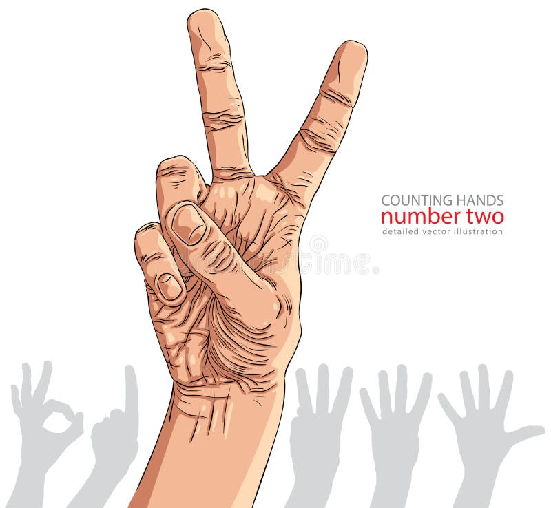 Numbers Hand Signs Set, Number Two, Detailed Vector Illustration Stock ...