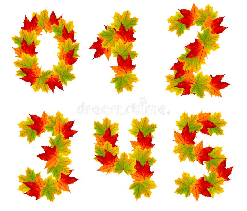 Numbers Made from Autumn Leaves Stock Image - Image of floral, garden ...