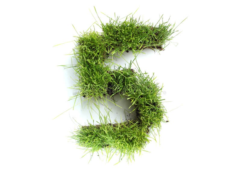 Numbers made of grass stock image. Image of earth, organic - 9048471