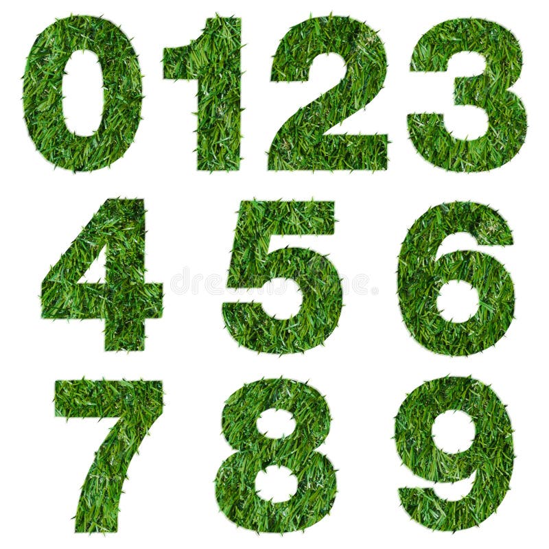 Grass Numbers 1 2 3 4. Green Numbers One, Two, Three, Four Isolated on ...