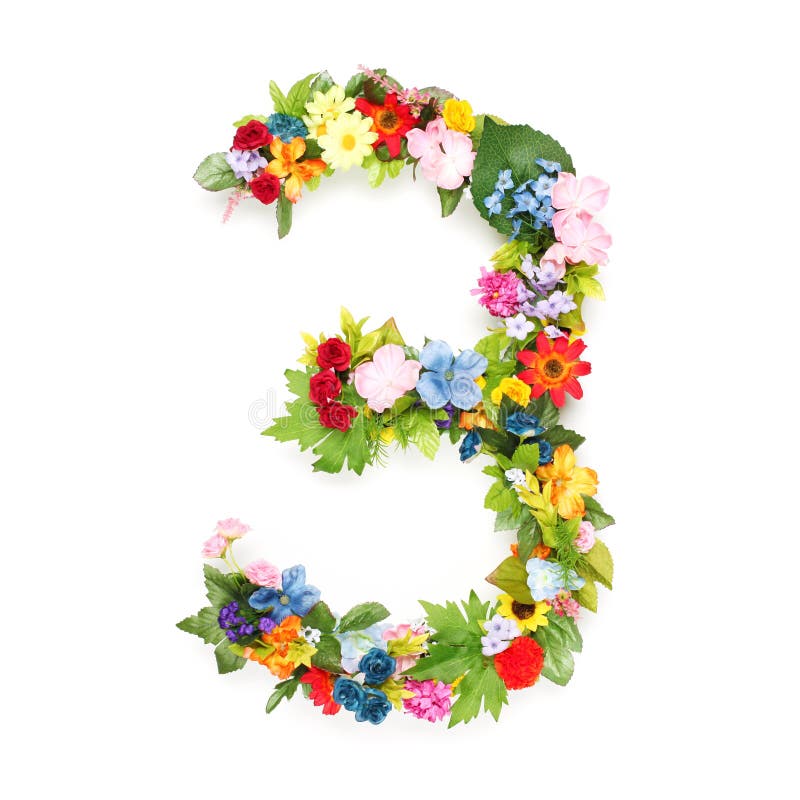 Numbers Made of Leaves & Flowers Stock Photo - Image of letters ...