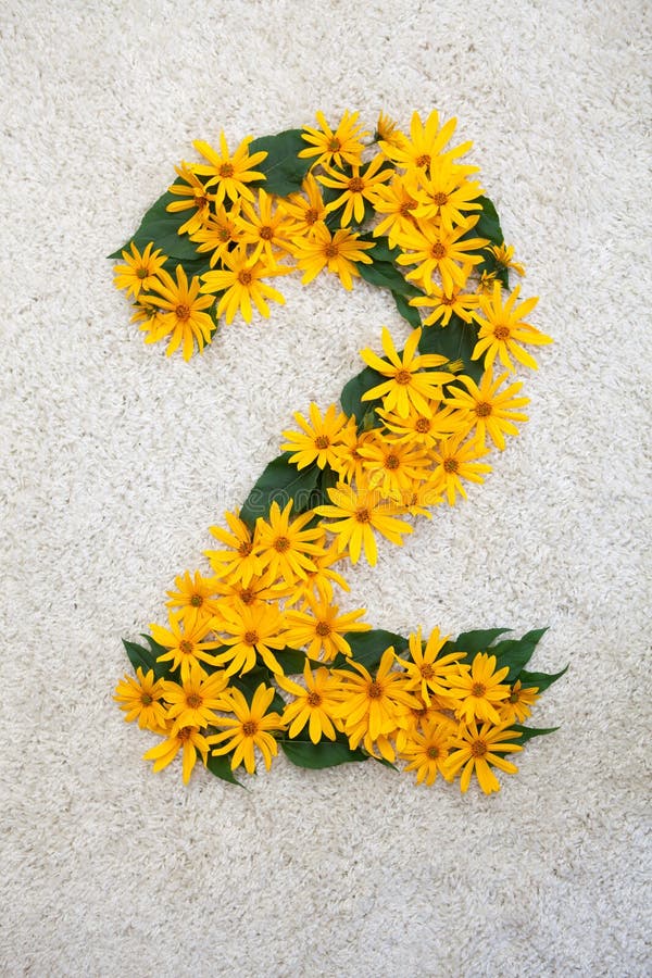 Numbers Made of Leaves and Yellow Flowers Stock Image - Image of ...