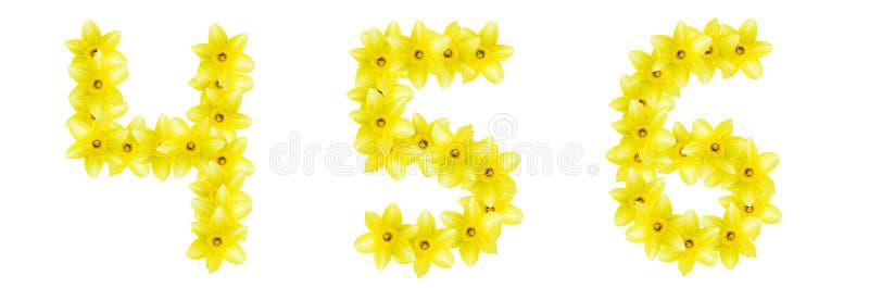 Numbers Made Leaves Stock Illustrations – 148 Numbers Made Leaves Stock ...