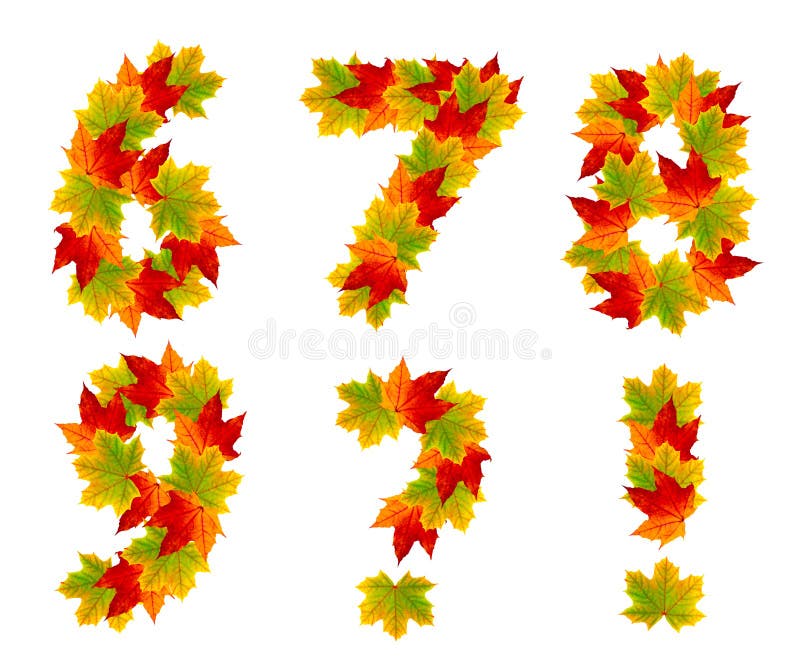 Numbers Made from Autumn Leaves Stock Image - Image of floral, garden ...