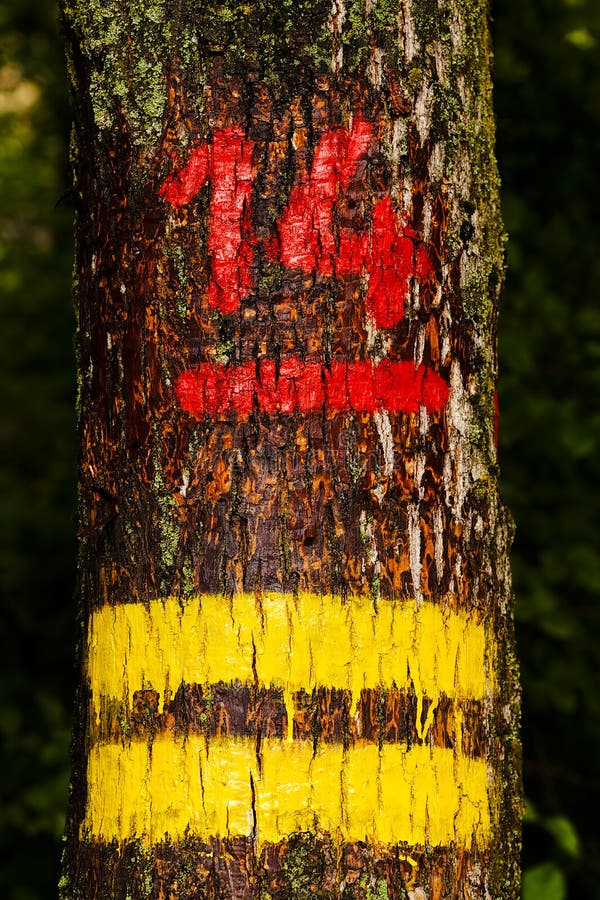 Numbers on trees stock image. Image of numeration, fourteen - 72828077