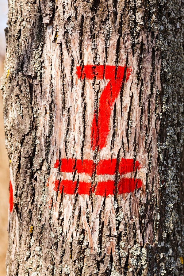 Numbers on trees stock photo. Image of signalization - 72828418