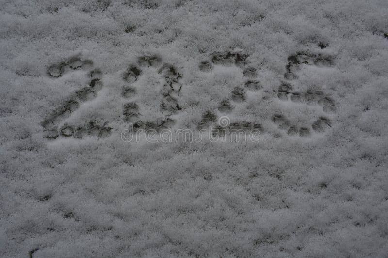 2025 Numbers on White Snow. Stock Photo - Image of flooring, tundra ...