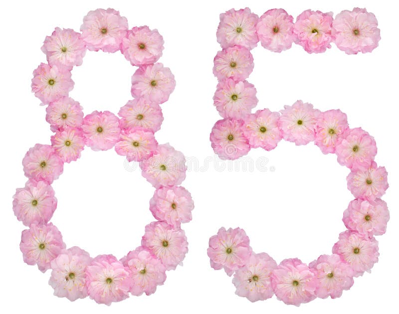 Numeral 85, Eighty Five, From Natural Pink Flowers Of Almond Tree ...