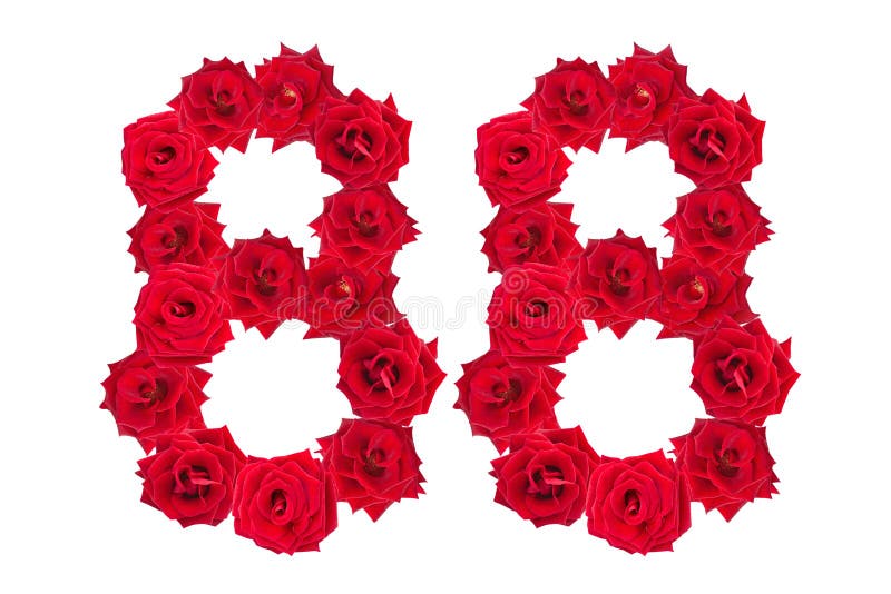 Numeral 88 Made of Red Roses on a White Isolated Background. Element ...