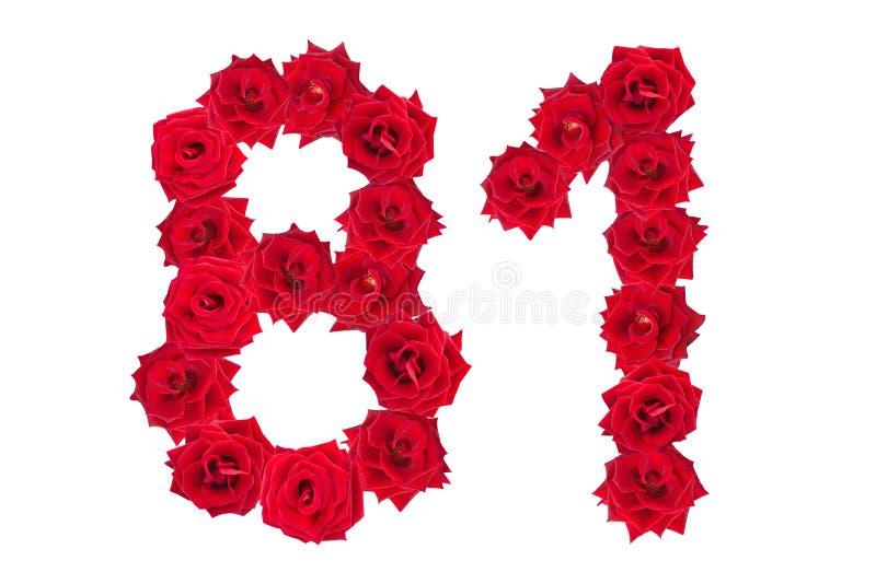 Numeral 81 Made of Red Roses on a White Isolated Background. Element ...