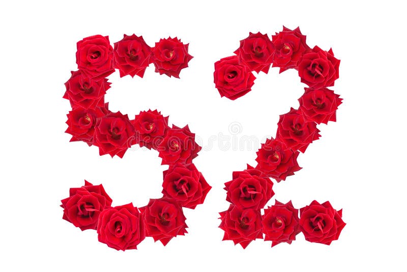 Numeral 52 Made of Red Roses on a White Isolated Background. Element ...