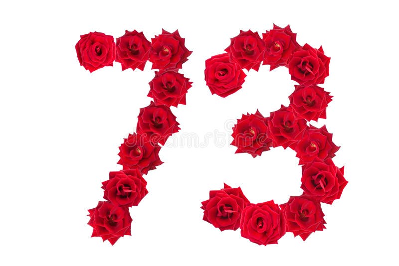 Numeral 73 Made of Red Roses on a White Isolated Background. Element ...