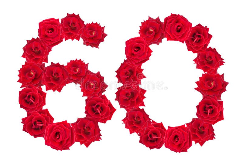 Numeral 60 Made of Red Roses on a White Isolated Background. Element ...