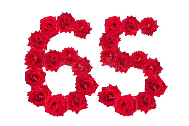 65 Roses Stock Photos - Free & Royalty-Free Stock Photos from Dreamstime