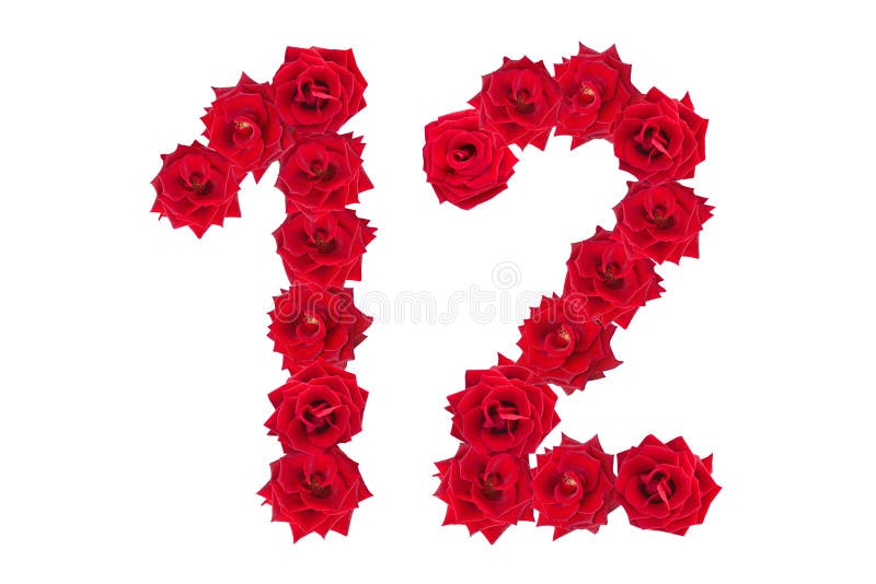 Numeral 12 Made of Red Roses on a White Isolated Background. Element ...