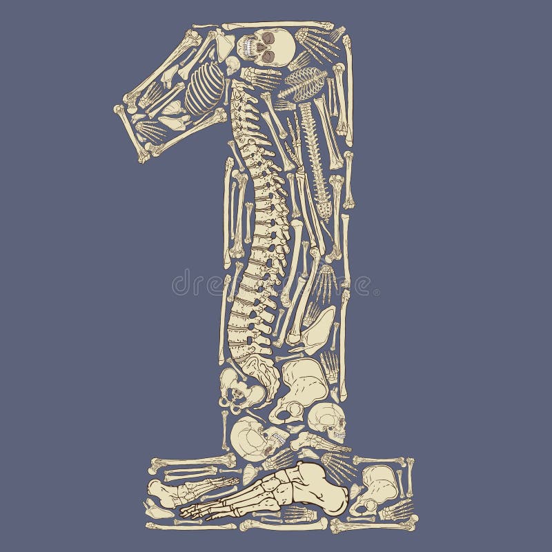 Numero a Forma Di Di Scheletro Uno Illustrazione Vettoriale ...