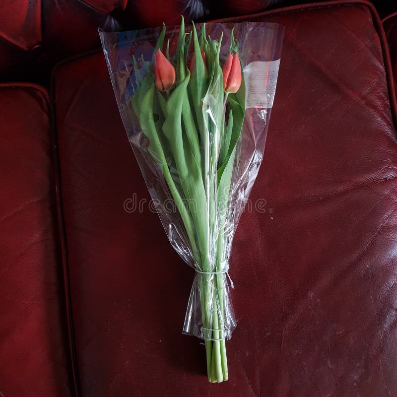 A Bunch of Tulips in the Wrapper Stock Photo - Image of wrapped, bunch ...