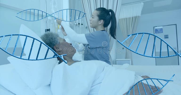 139 Nurse Adjusting Patient Bed Stock Photos - Free & Royalty-Free ... 139 Nurse Adjusting Patient Bed Stock Photos - Free & Royalty-Free ...