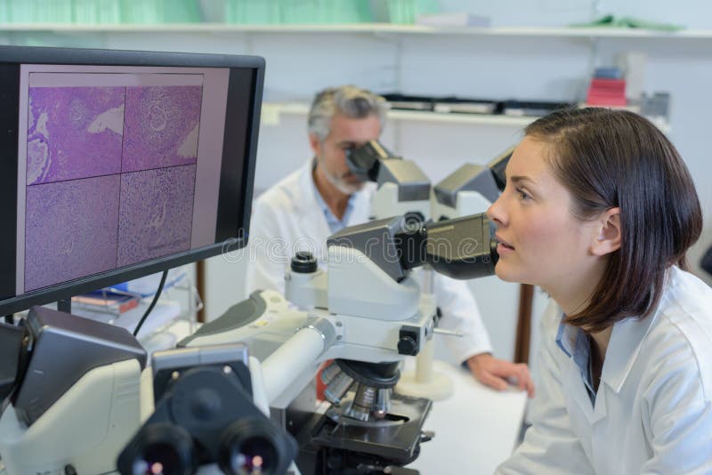 Nurse Looking at Computer Screen Stock Image - Image of patient ...