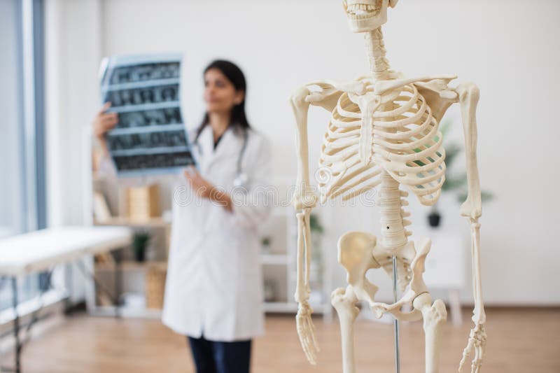 Nurse with X Ray Scan Standing Near Modern of Human Skeleton Stock ...