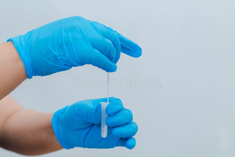 A Nurse is Using a Cotton Swab Dipped in an Antigen ATK Test Kit As a ...