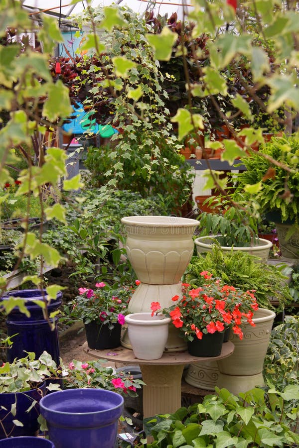 Nursery stock image. Image of summer, greenhouse, hothouse - 54224453