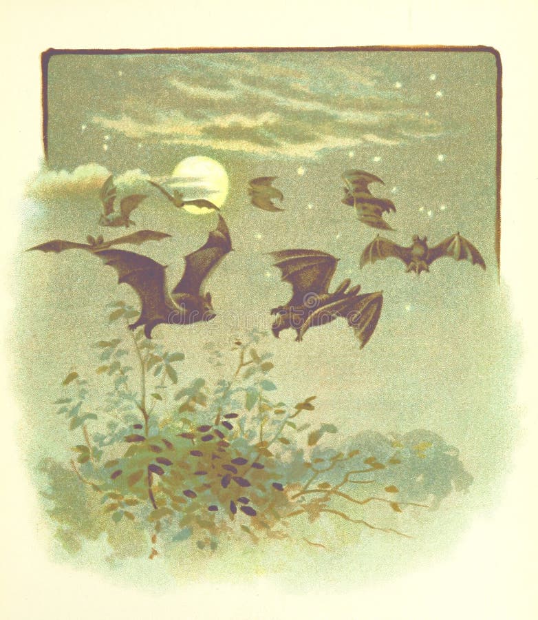 British Library Digitised Image From Page 47 Of "Nursery Songs [Edited ...