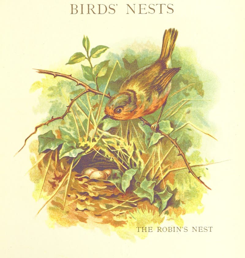 British Library Digitised Image From Page 21 Of "Nursery Songs [Edited ...
