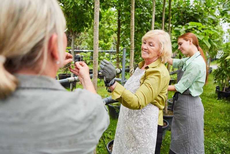 Nursery Team at Inventory of Plants Stock Image - Image of profession ...