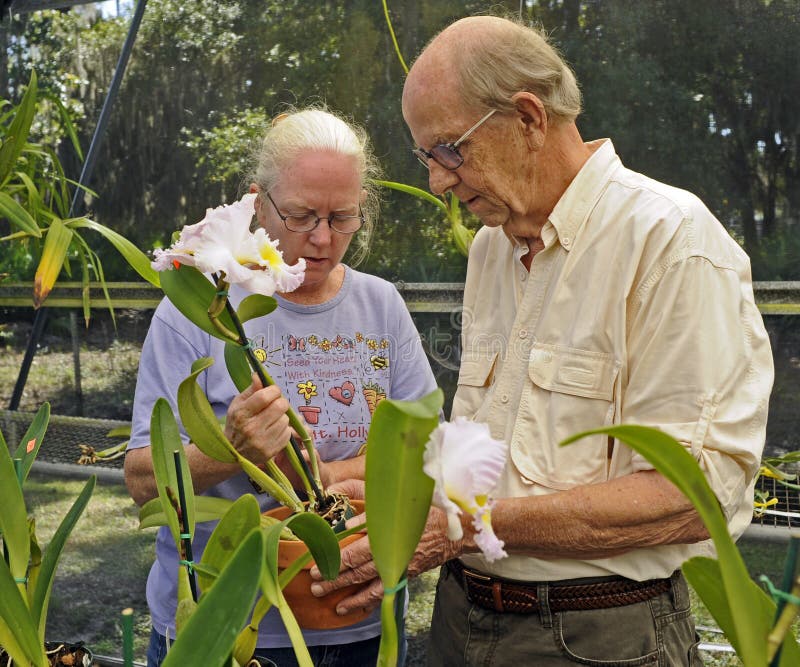 Nursery Worker Explains Flower Care Stock Photo - Image of plants ...